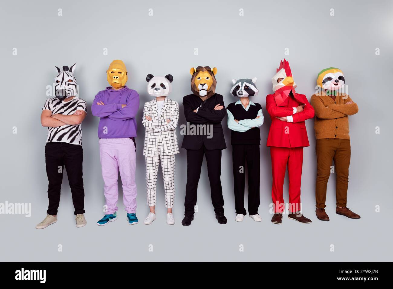 Full body portrait of zebra gorilla raccoon lion panda sloth rooster ...