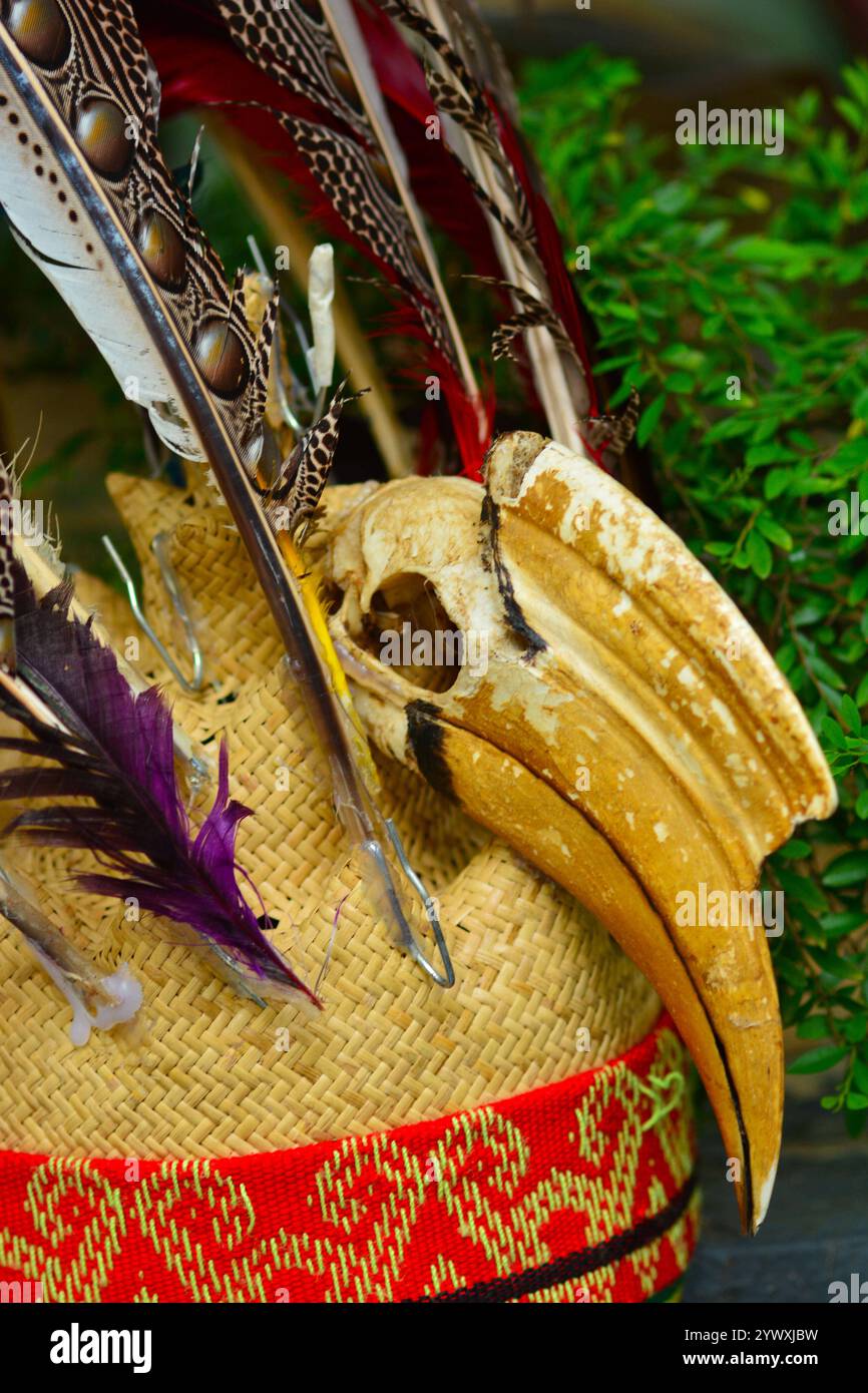 SARAWAK MALAISYA 12/12/24 .The Ibans or Sea Dayaks are an Austronesian ...