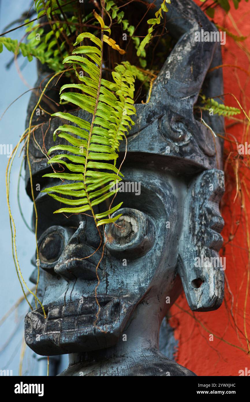 SARAWAK MALAISYA 12/12/24 .The Ibans or Sea Dayaks are an Austronesian ...