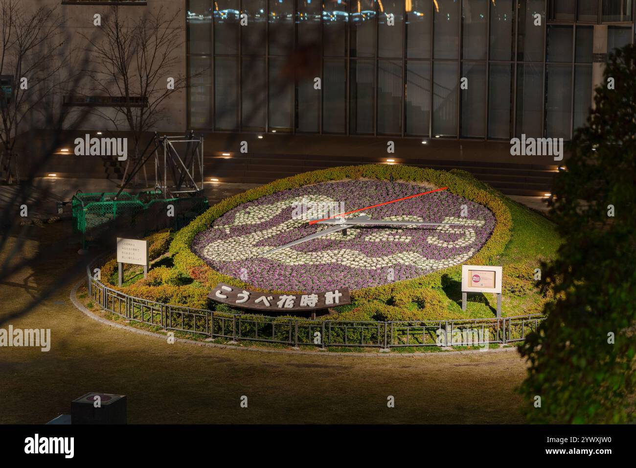 2025 snake hi-res stock photography and images - Alamy