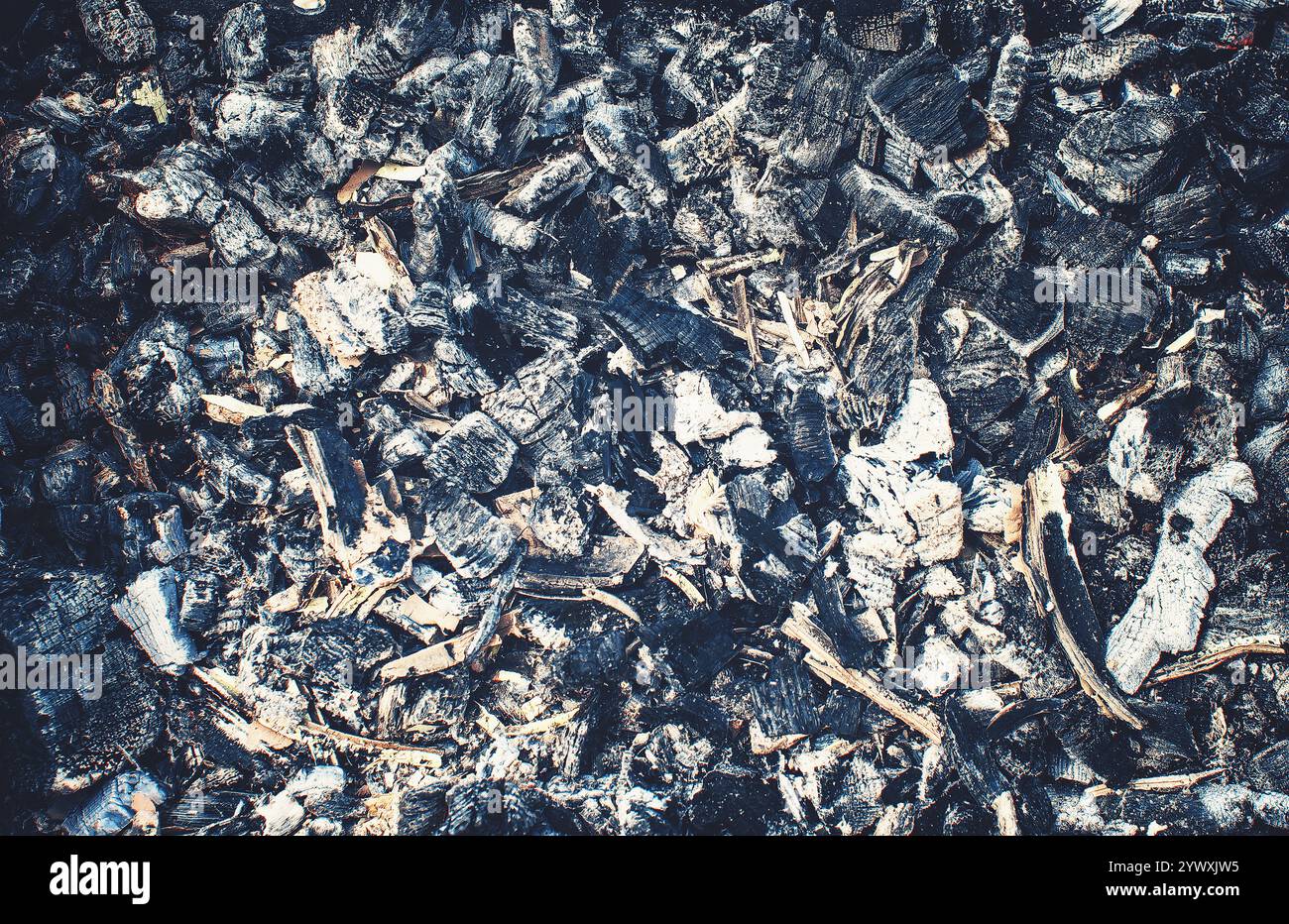 Detailed close-up of charred wood and ashes, showcasing a gritty and ...