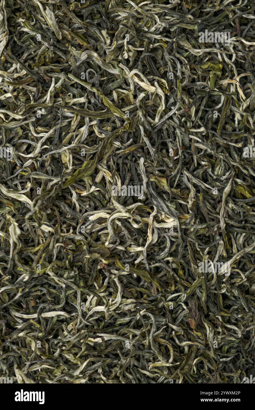 A Texture Background of Dried Green Tea Leaves Featuring Their Rich and ...