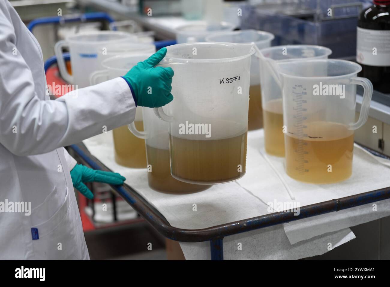 Wastewater treatment plant sample hi-res stock photography and images ...
