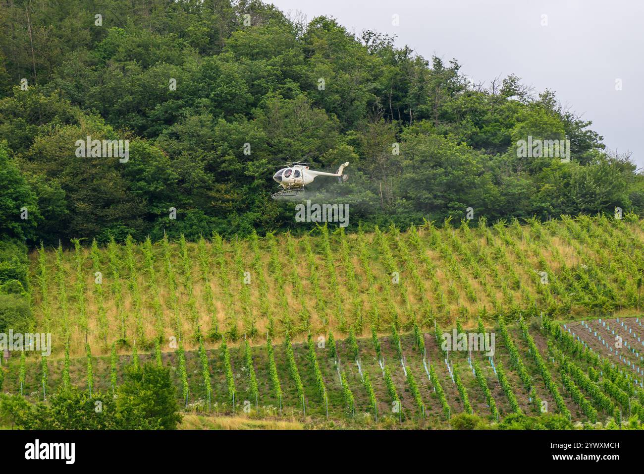 Flying over field small plants hi-res stock photography and images - Alamy