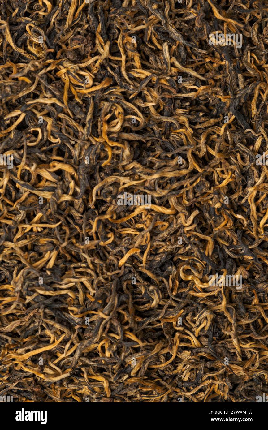 An Up Close View of Twisted and Curled Black Tea Leaves for Beverage ...