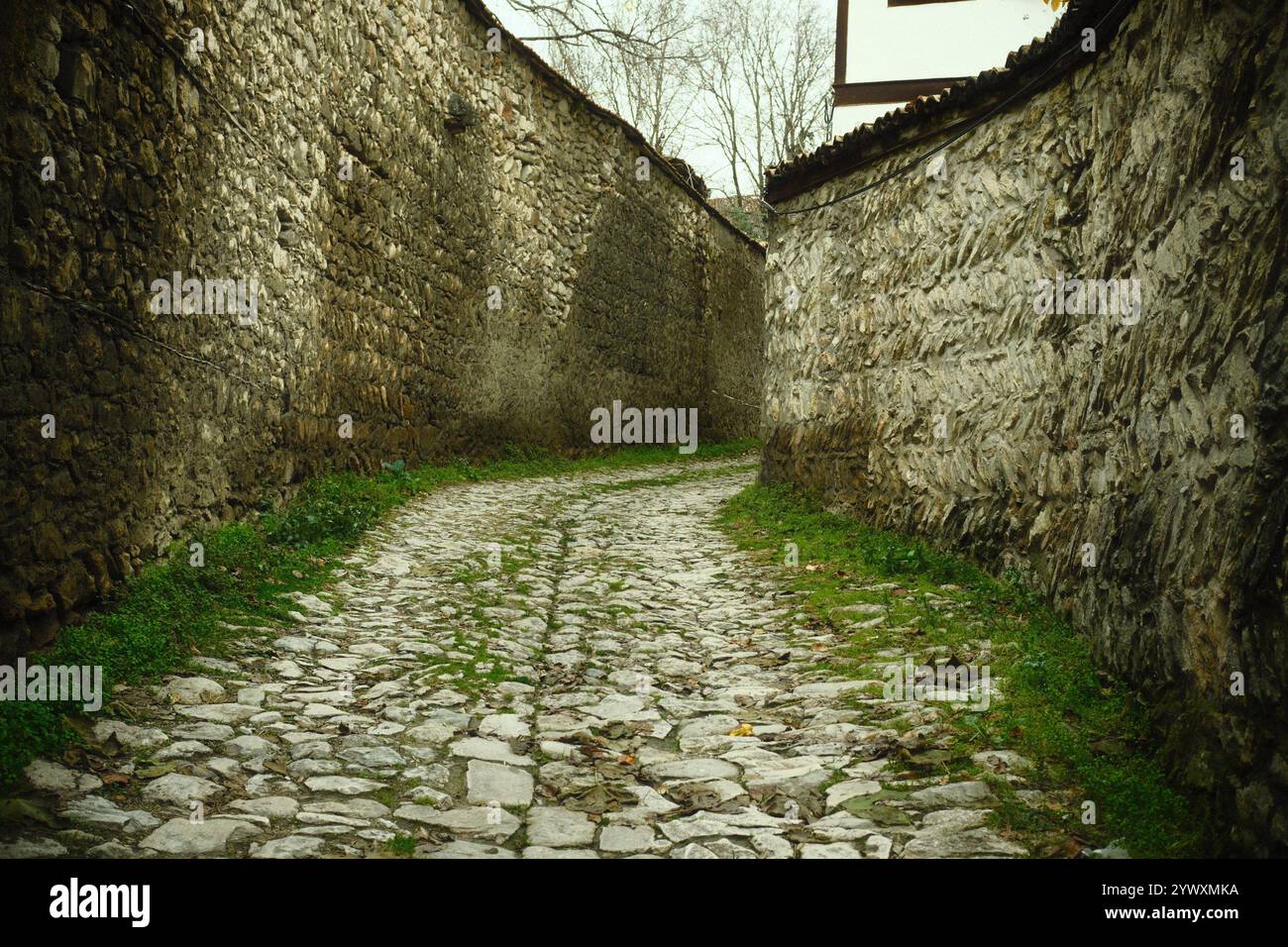 Medieval cobblestone alley in an old town countryside city Stock Photo ...