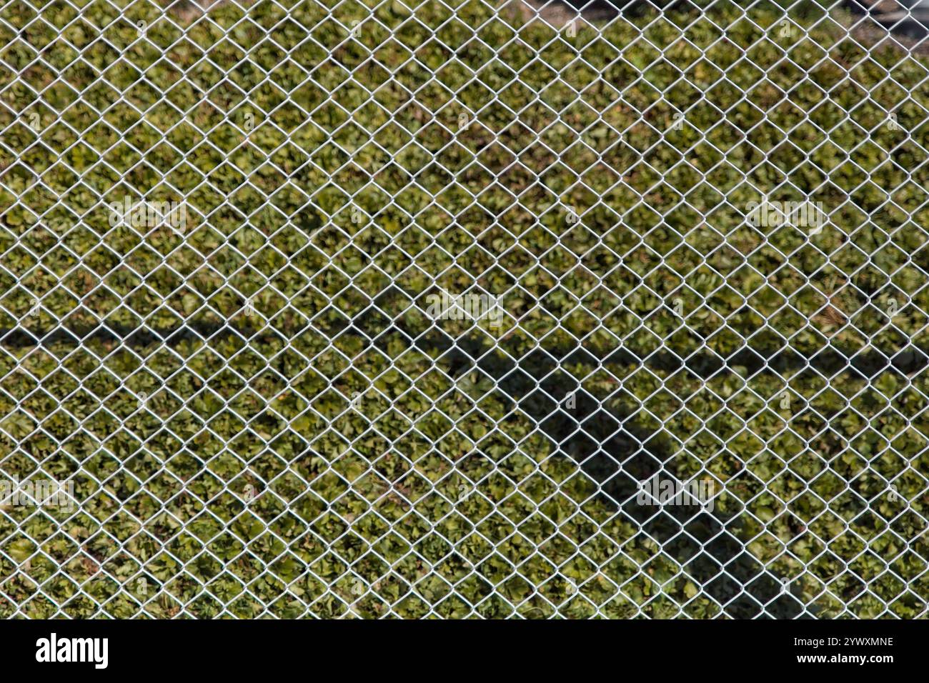 Closeup of metal wire fence background texture Stock Photo - Alamy