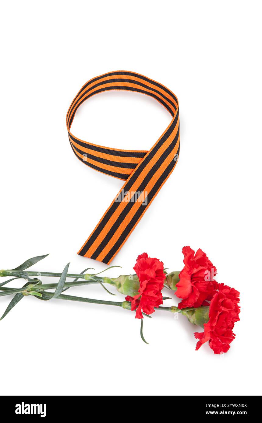 Carnations with George ribbon on white background Stock Photo - Alamy