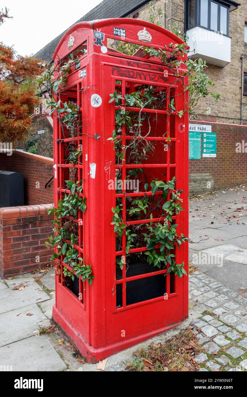 A red K6 telephone box (designed by Sir Giles Gilbert Scott in 1935), now non-functional, filled ...