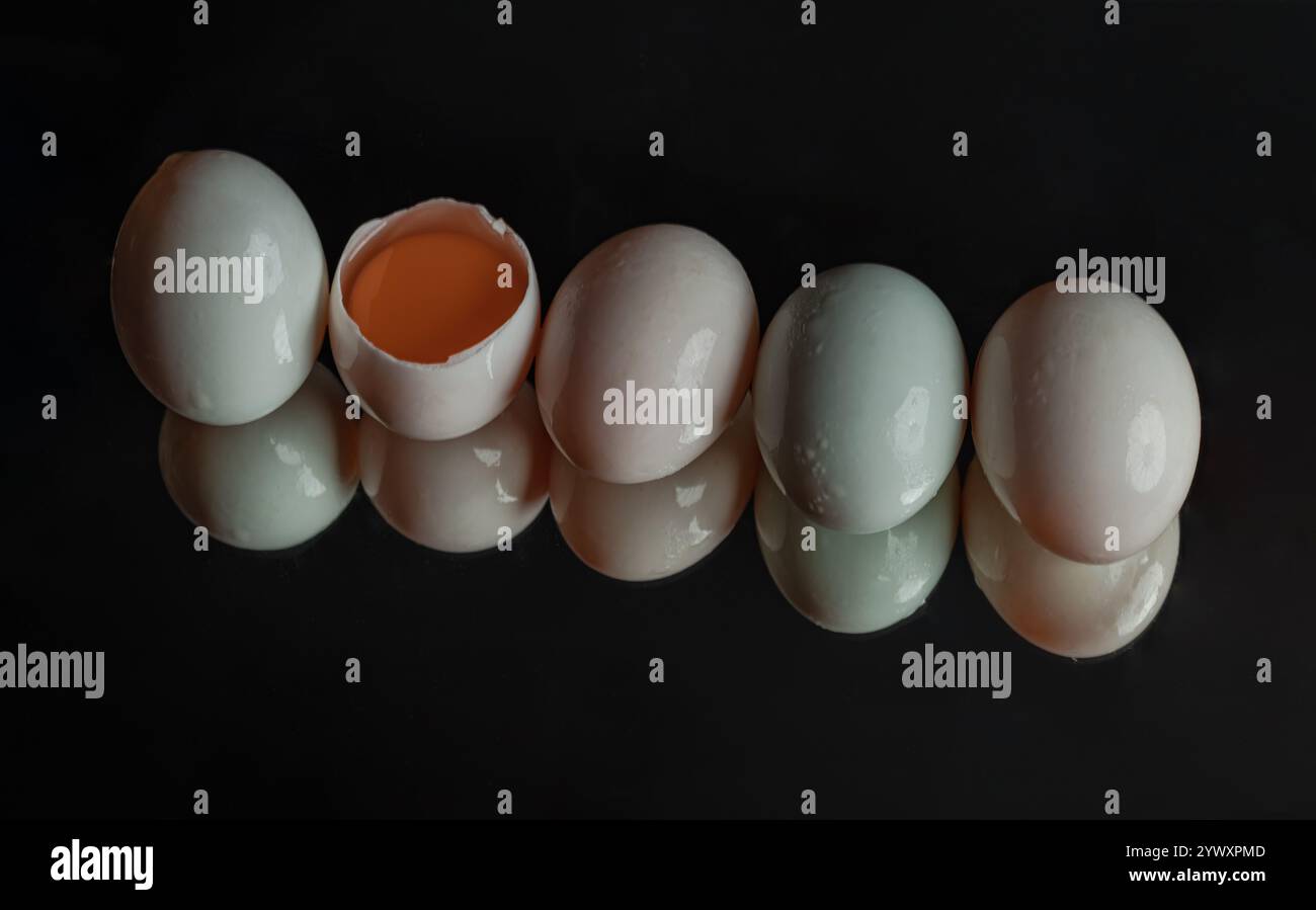 The reflection of Five raw duck eggs are sitting in a row with an egg ...