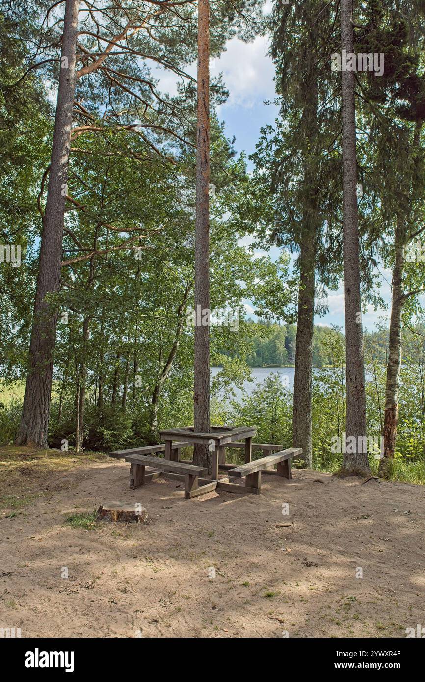Wooden bench and picnic table around a tree at Moksi beach in summer ...