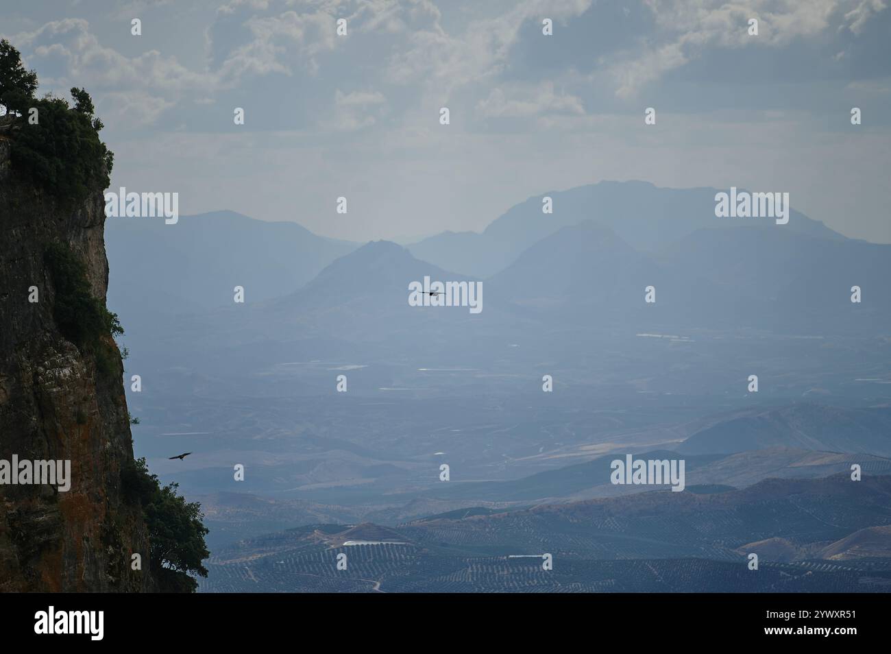 A breathtaking view of distant mountain ranges, birds flying freely ...