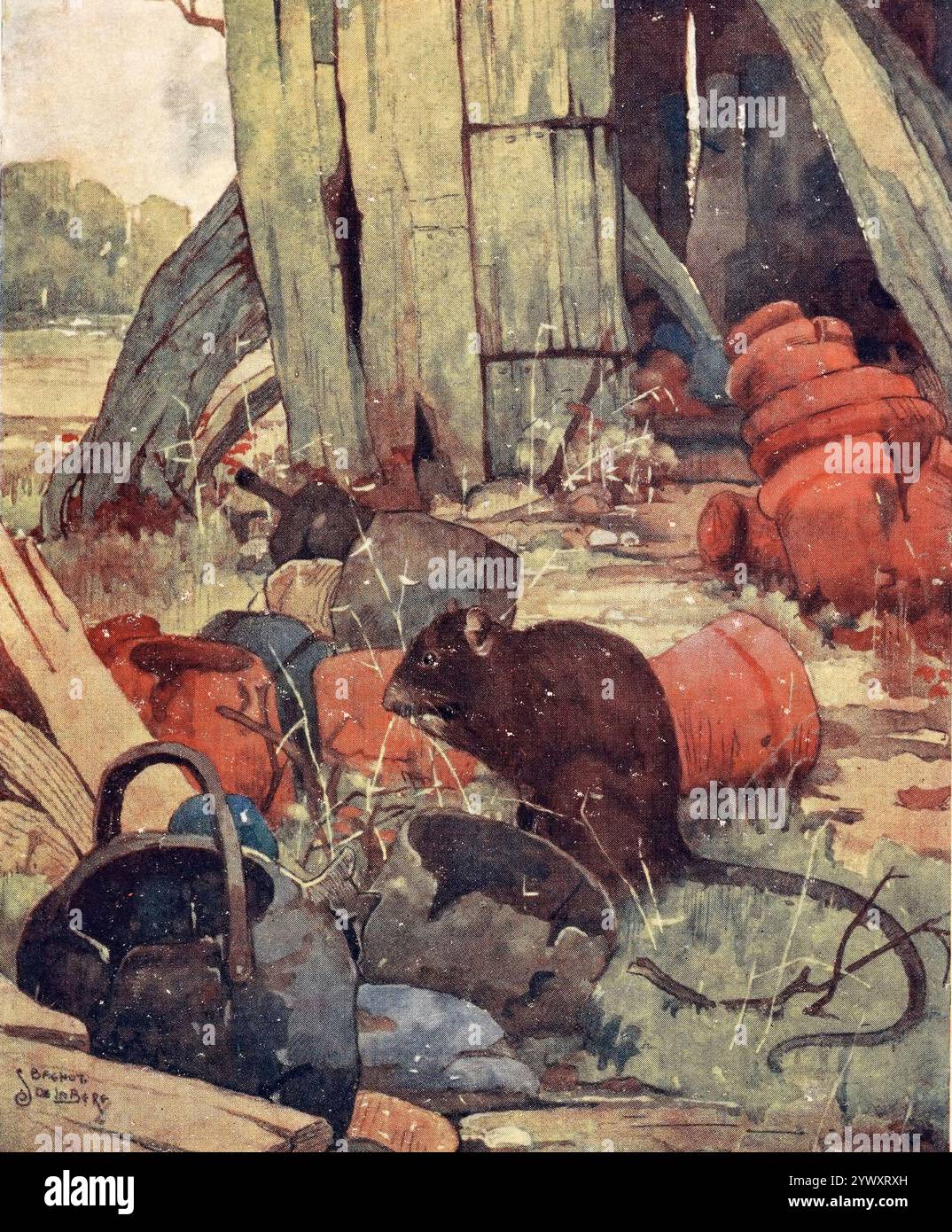 brown rat (Rattus norvegicus), also known as the common rat, street rat ...