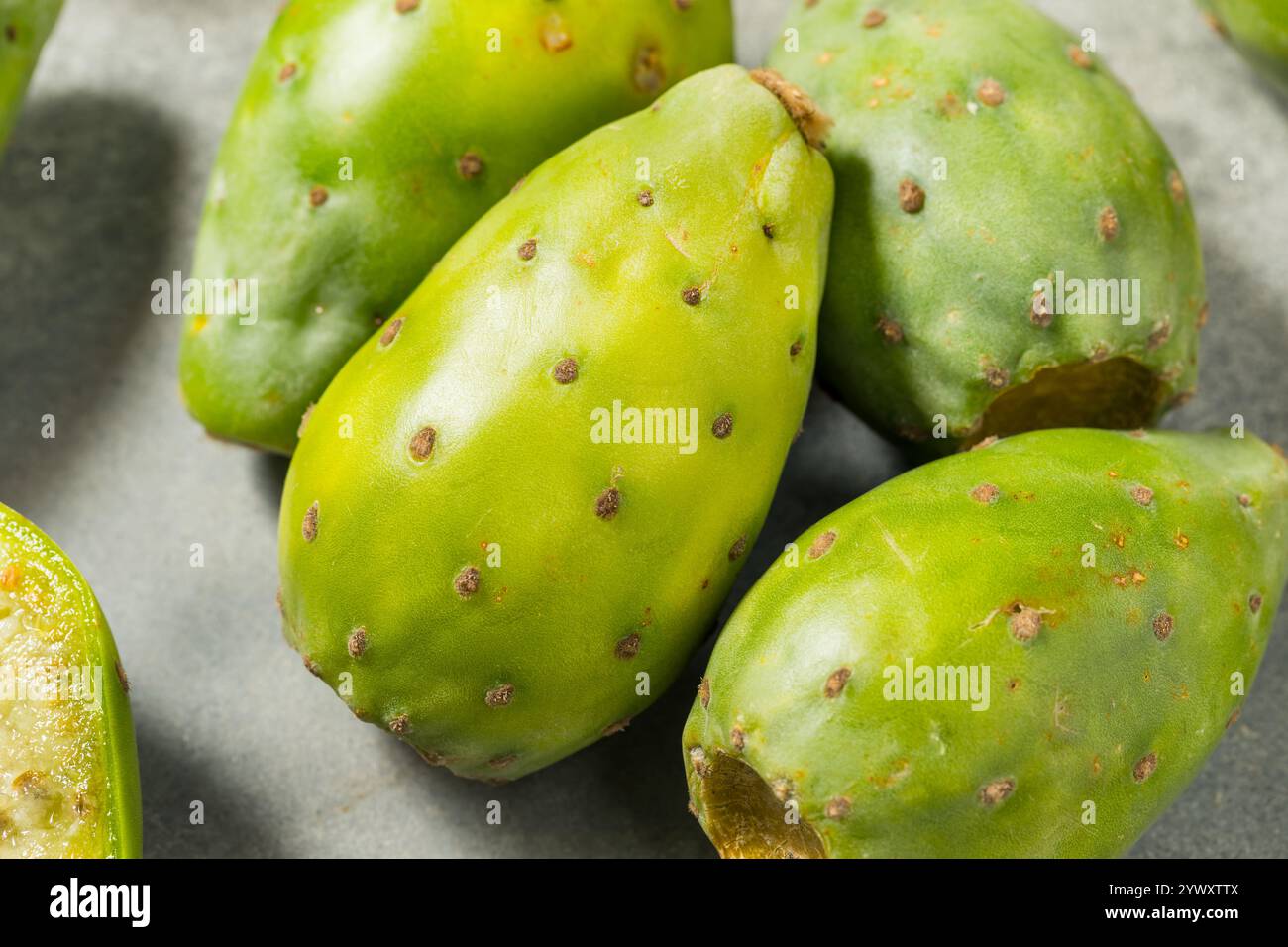 Cactus prickly pear cactus hi-res stock photography and images - Alamy