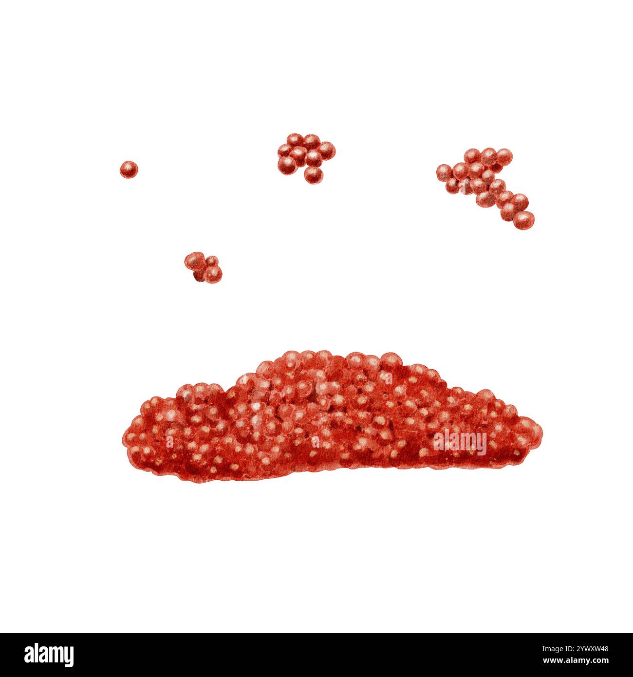 Red caviar in a pile and separately on white. Watercolor illustration ...