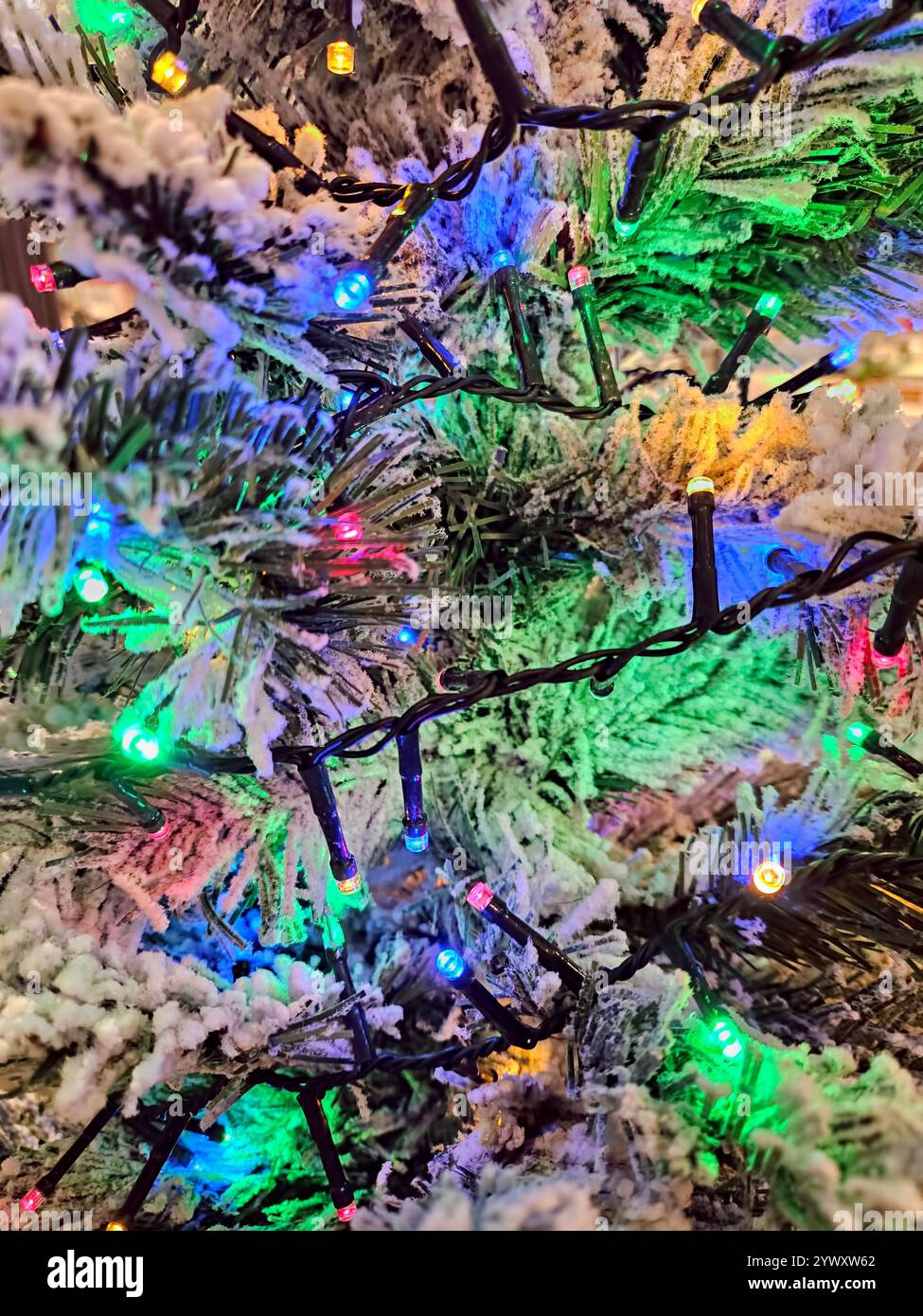 Christmas tree with branches covered with frost and flashing colorful ...