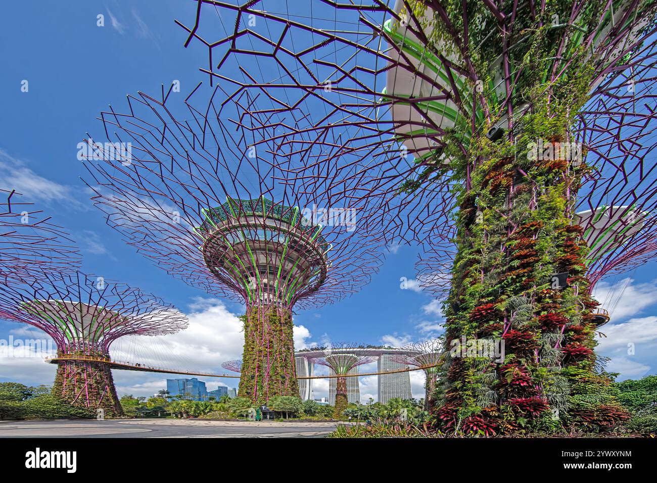Unique Supertree structures in Gardens by the Bay in Singapore against ...