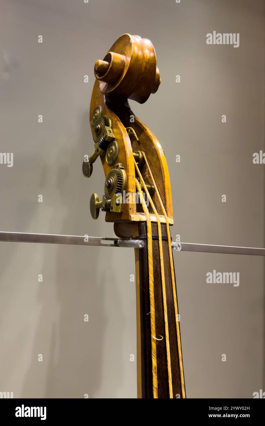 Detail of the peg box and scross of a three-string double bass in the ...