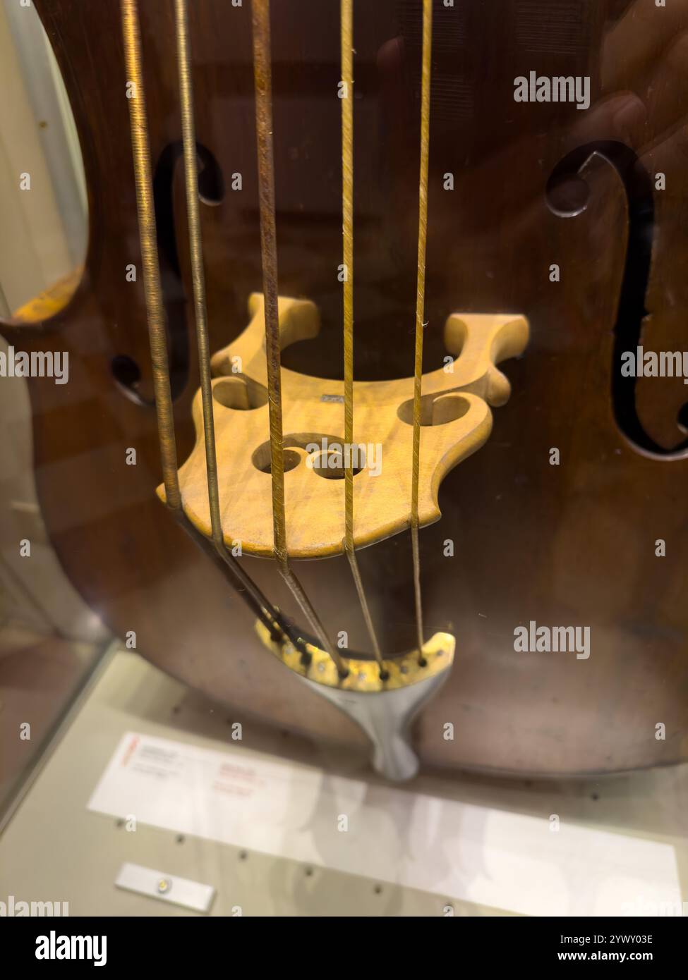 Bridge and strings of a five-string contrabbasso in the Accademia ...