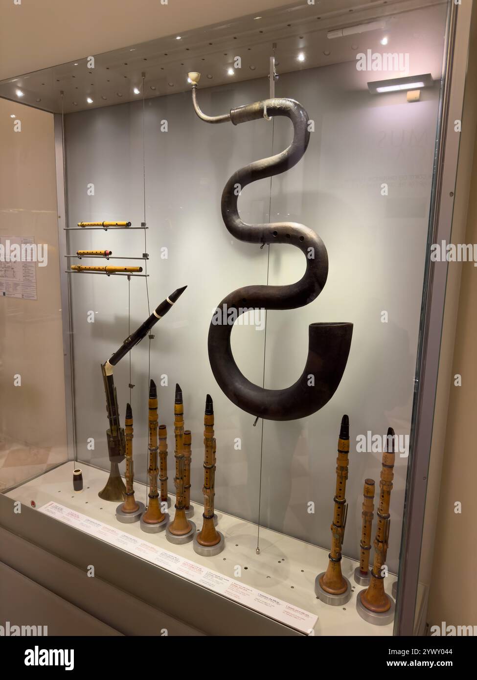 A collection of antique woodwind instruments in the Accademia Gallery ...