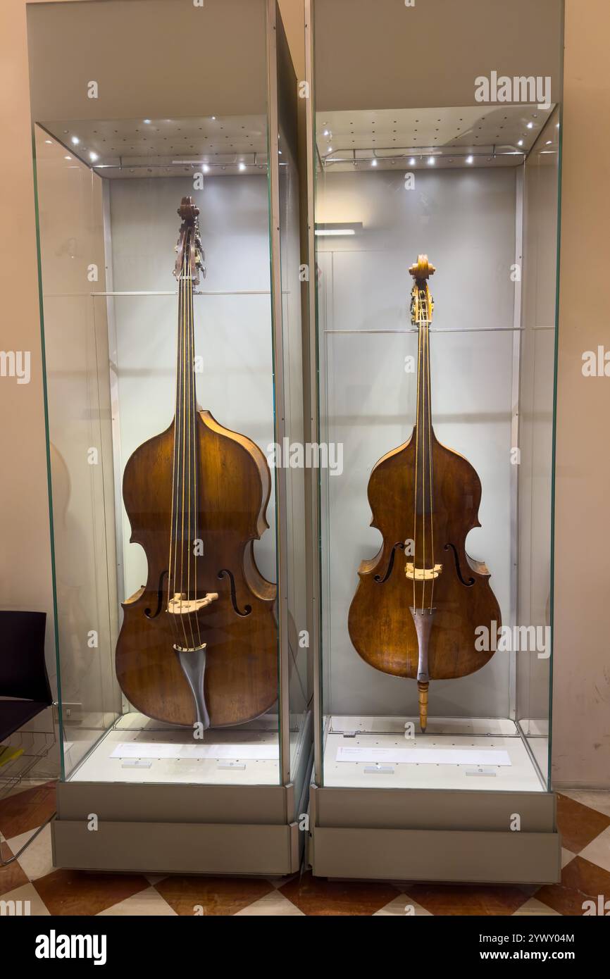 A five-string contrabbasso and a smaller three-string bass in the ...