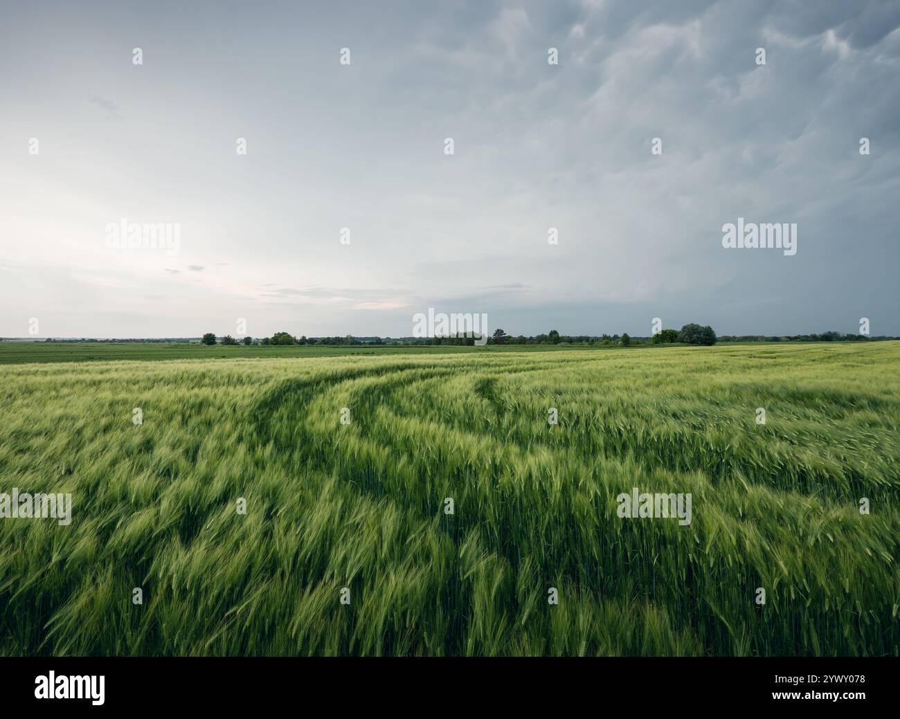 Cloudy cloud grey sky car hi-res stock photography and images - Alamy