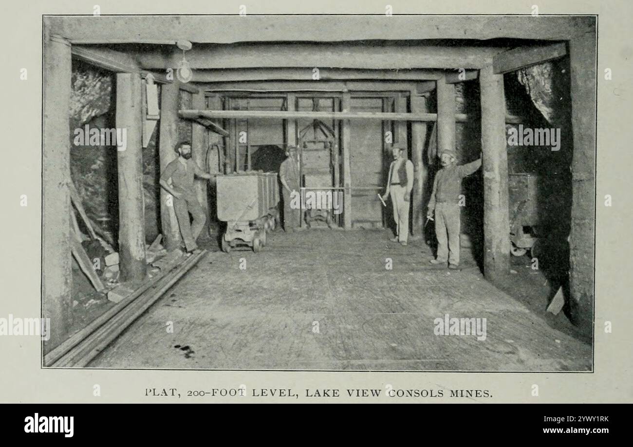 PLAT, 200-FOOT LEVEL, Lake View Consols Mine from the Article GOLD ...