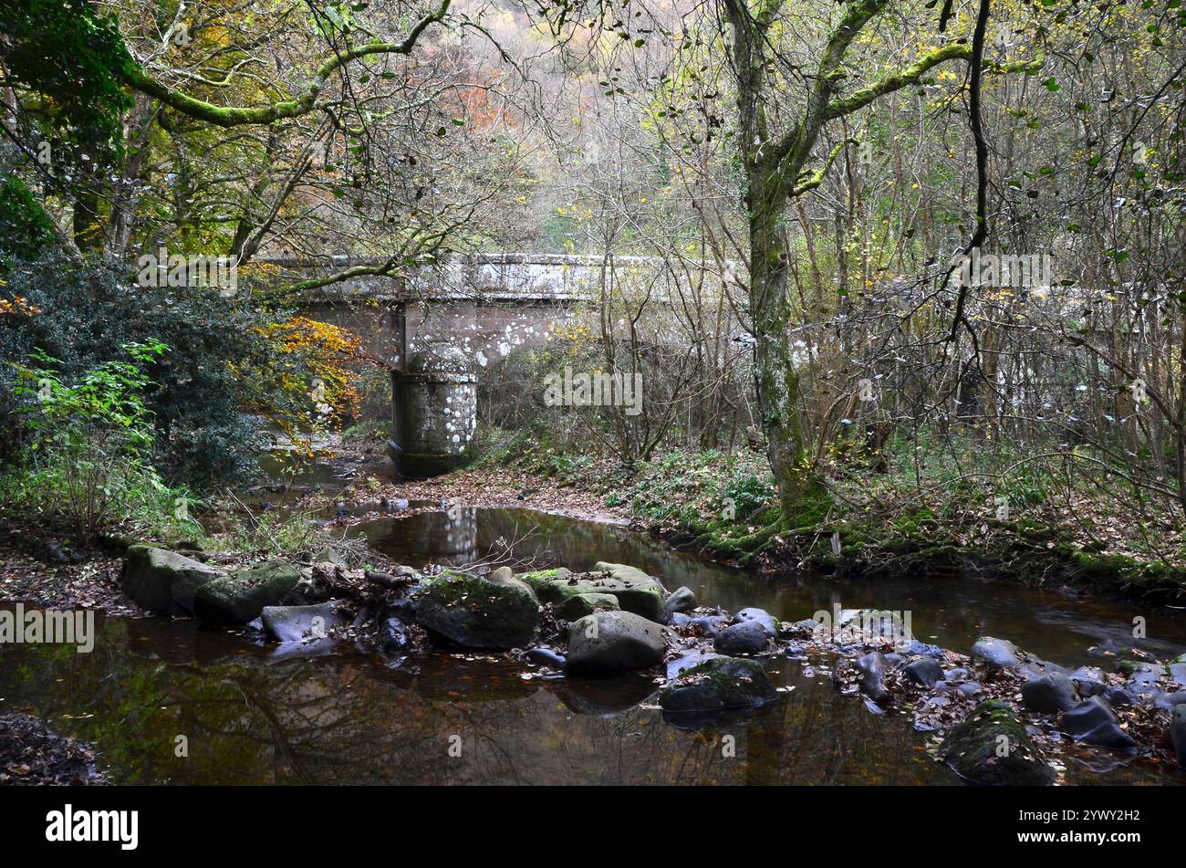 Dunsford Wood in Dartmoor National Park, Devon, UK November 2024 Stock ...