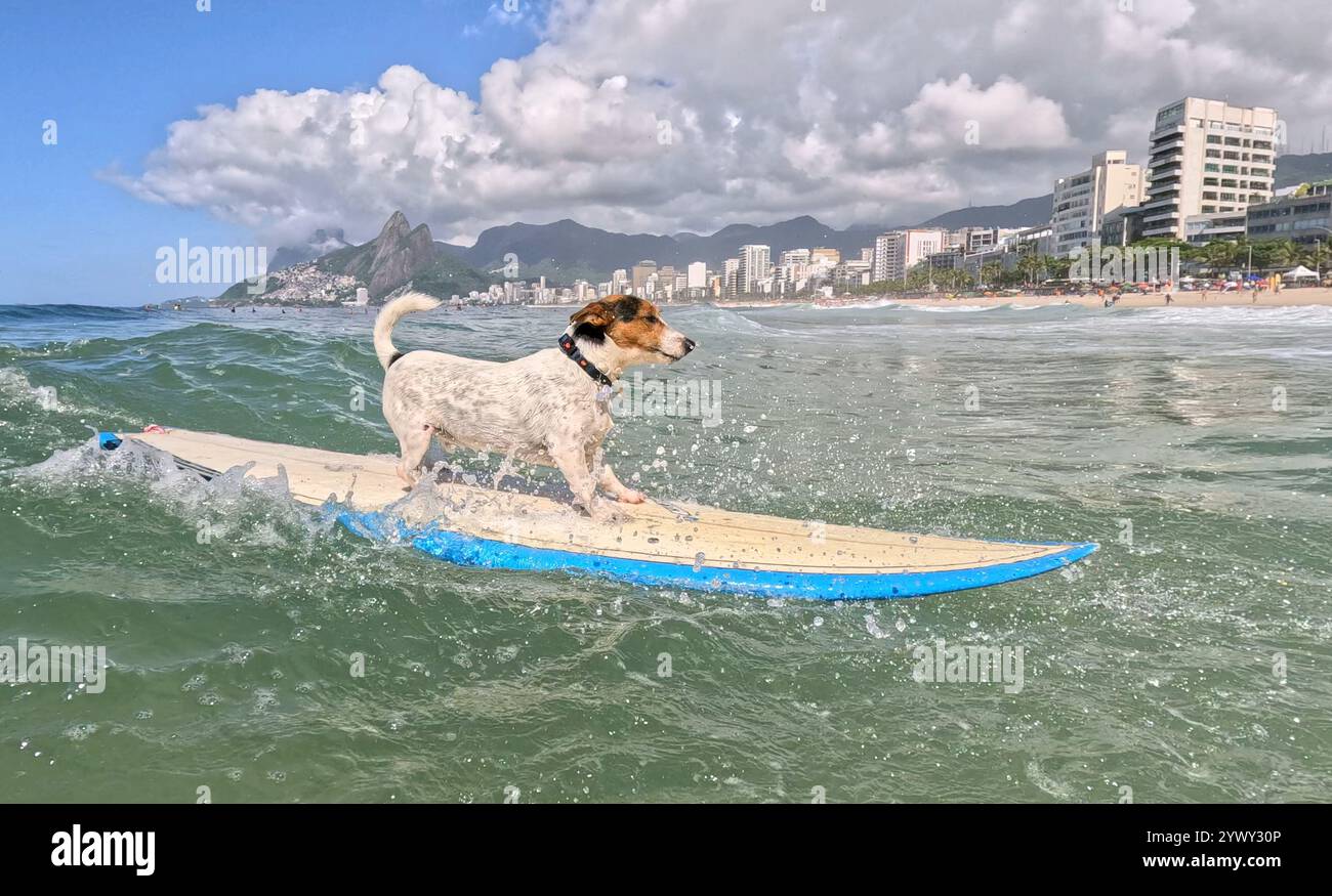 December 12, 2024, Rio De Janeiro, Rio De Janeiro, Brazil: 4-year-old ...