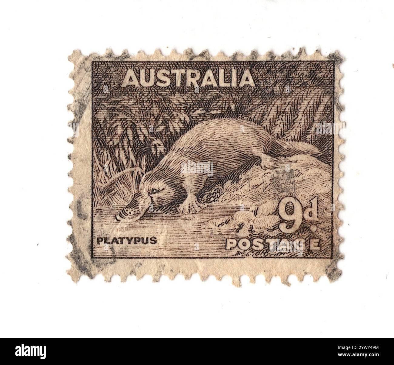 Platypus australia postage stamp hi-res stock photography and images ...