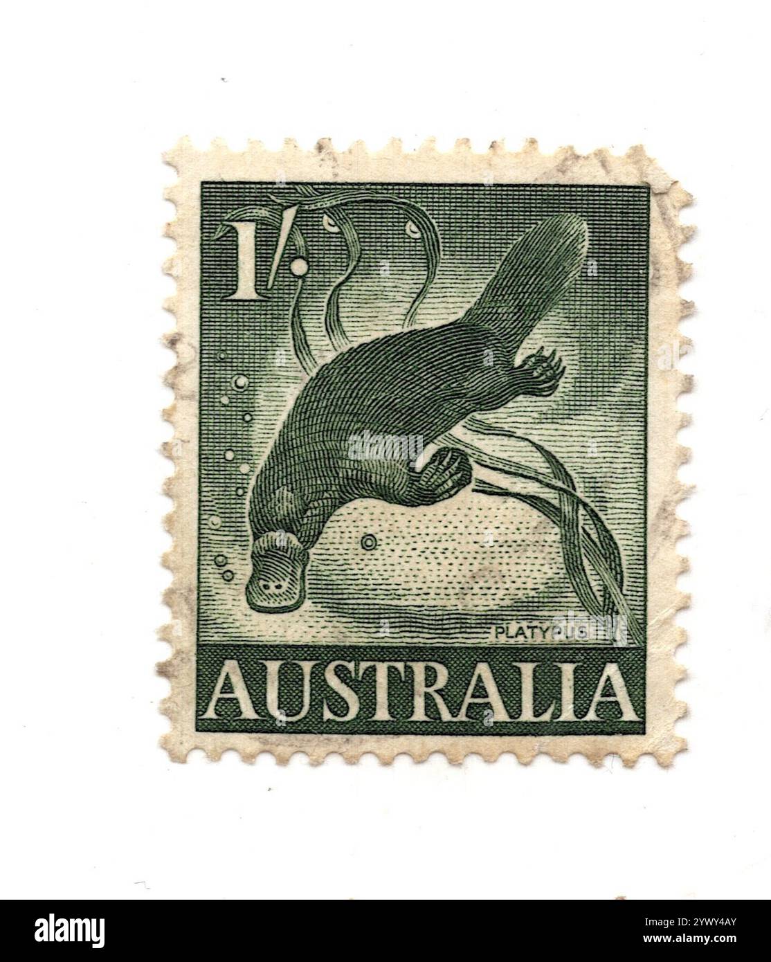 Platypus australia postage stamp hi-res stock photography and images ...