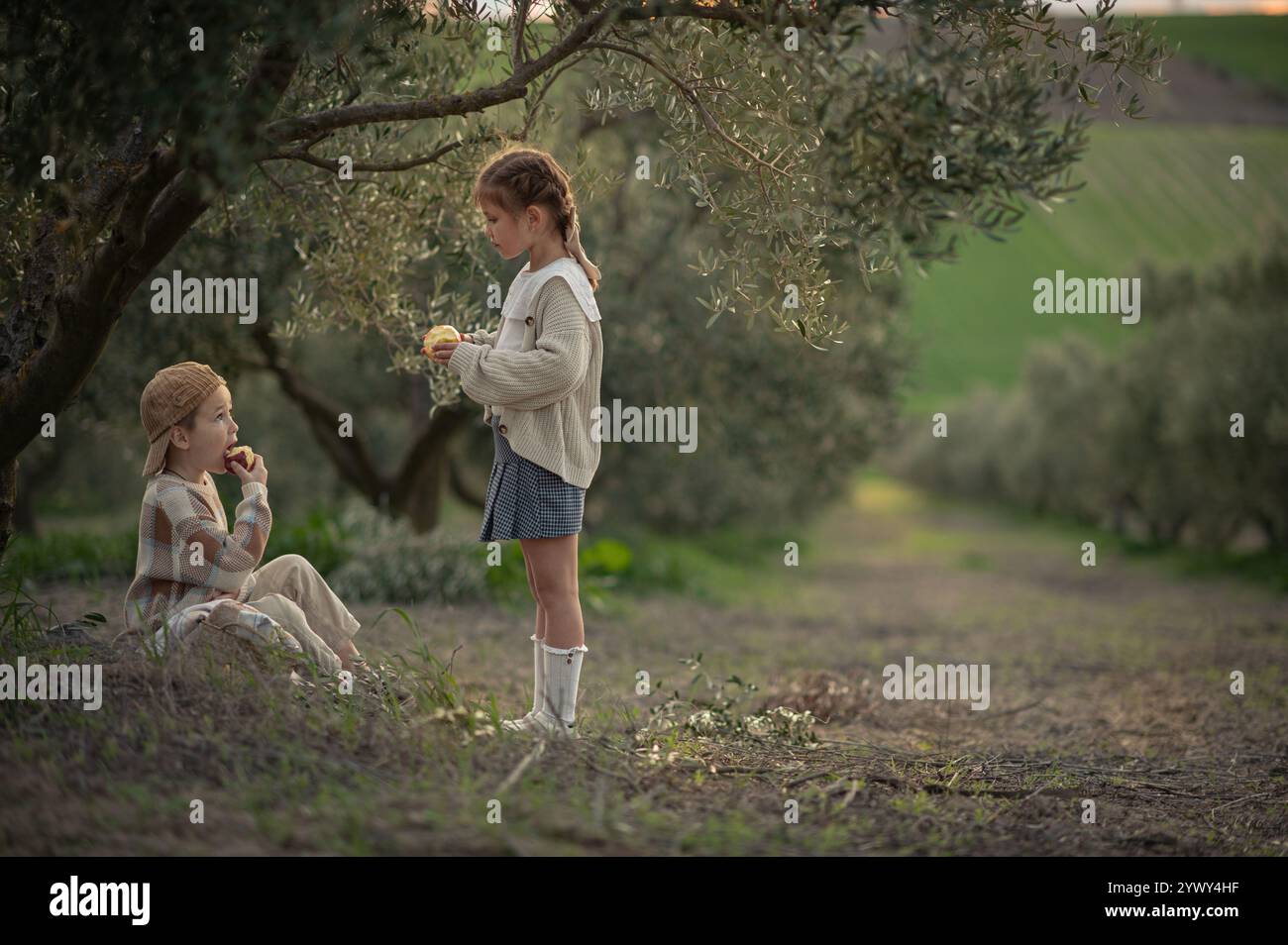 Boy and girl are eating apples under olive trees in countryside Stock ...