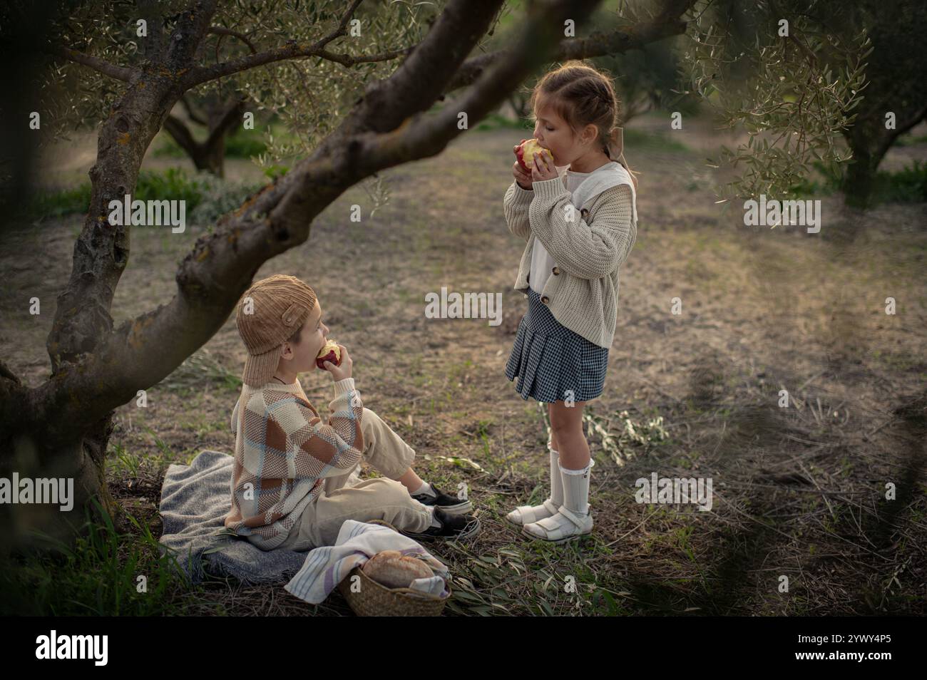 Boy and girl are eating apples under olive trees in countryside Stock ...