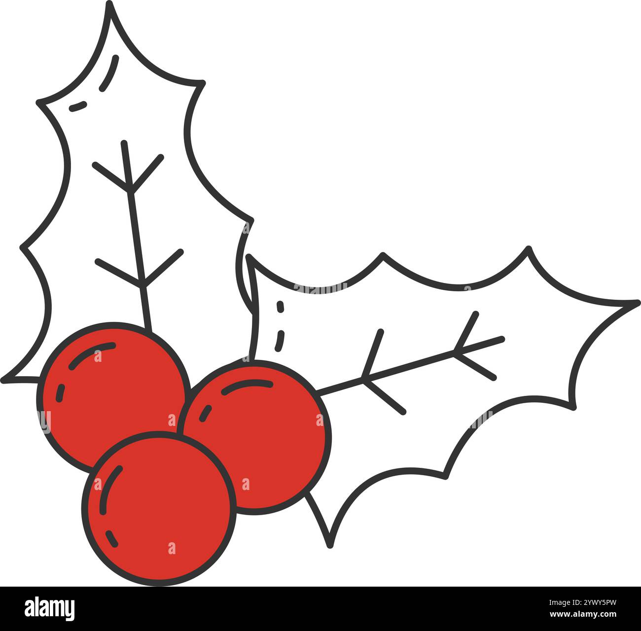 Christmas holly leaves with red berries Vector Stock Vector Image & Art ...