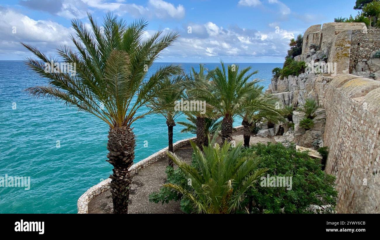 Beautiful view sea palm trees hi-res stock photography and images - Alamy