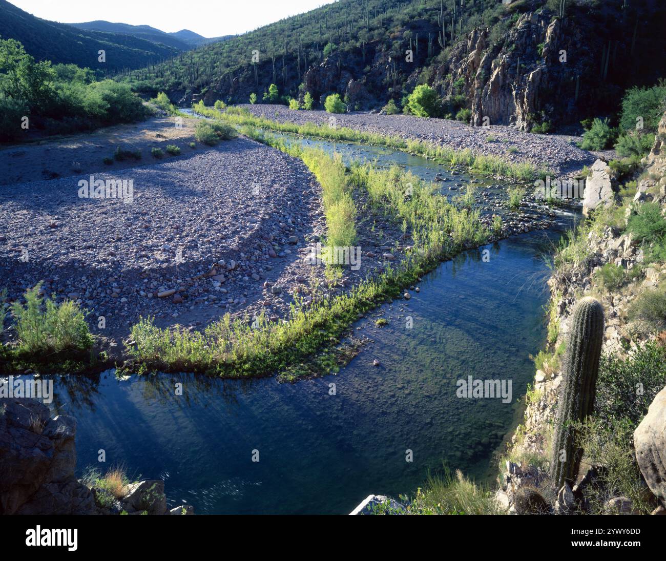 The confluence of Cherry Creek and the Verde River in central Arizona ...
