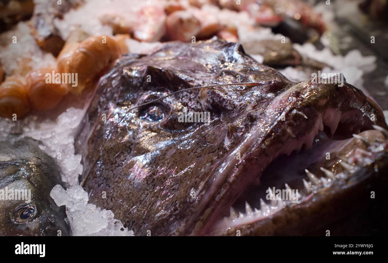 Fish market copenhagen hi-res stock photography and images - Alamy