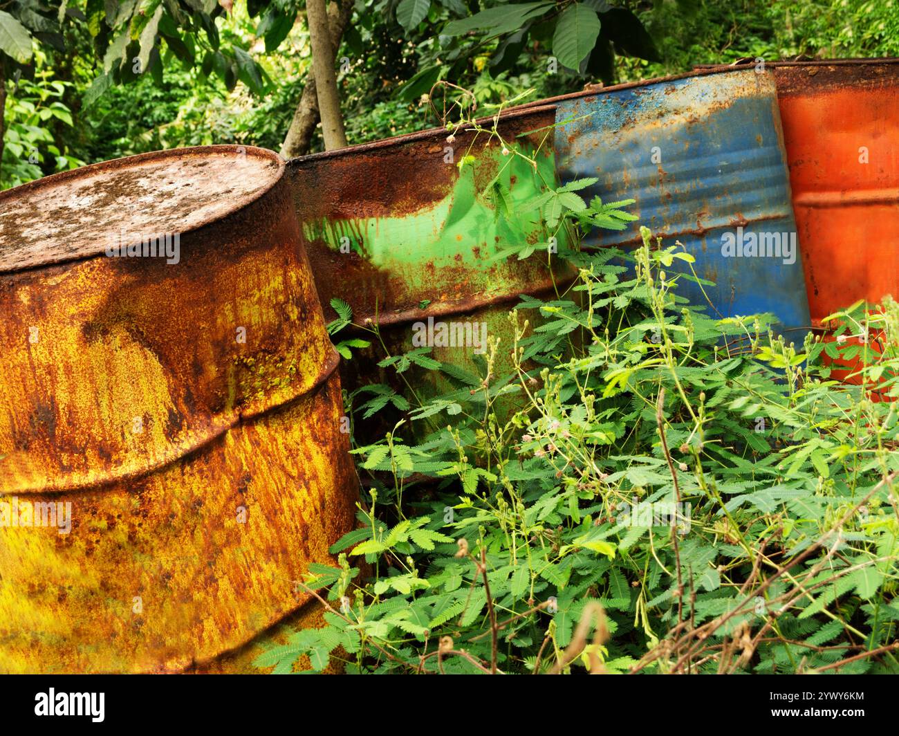 Closeup of four old metal oil drums of different colours, dumped as ...