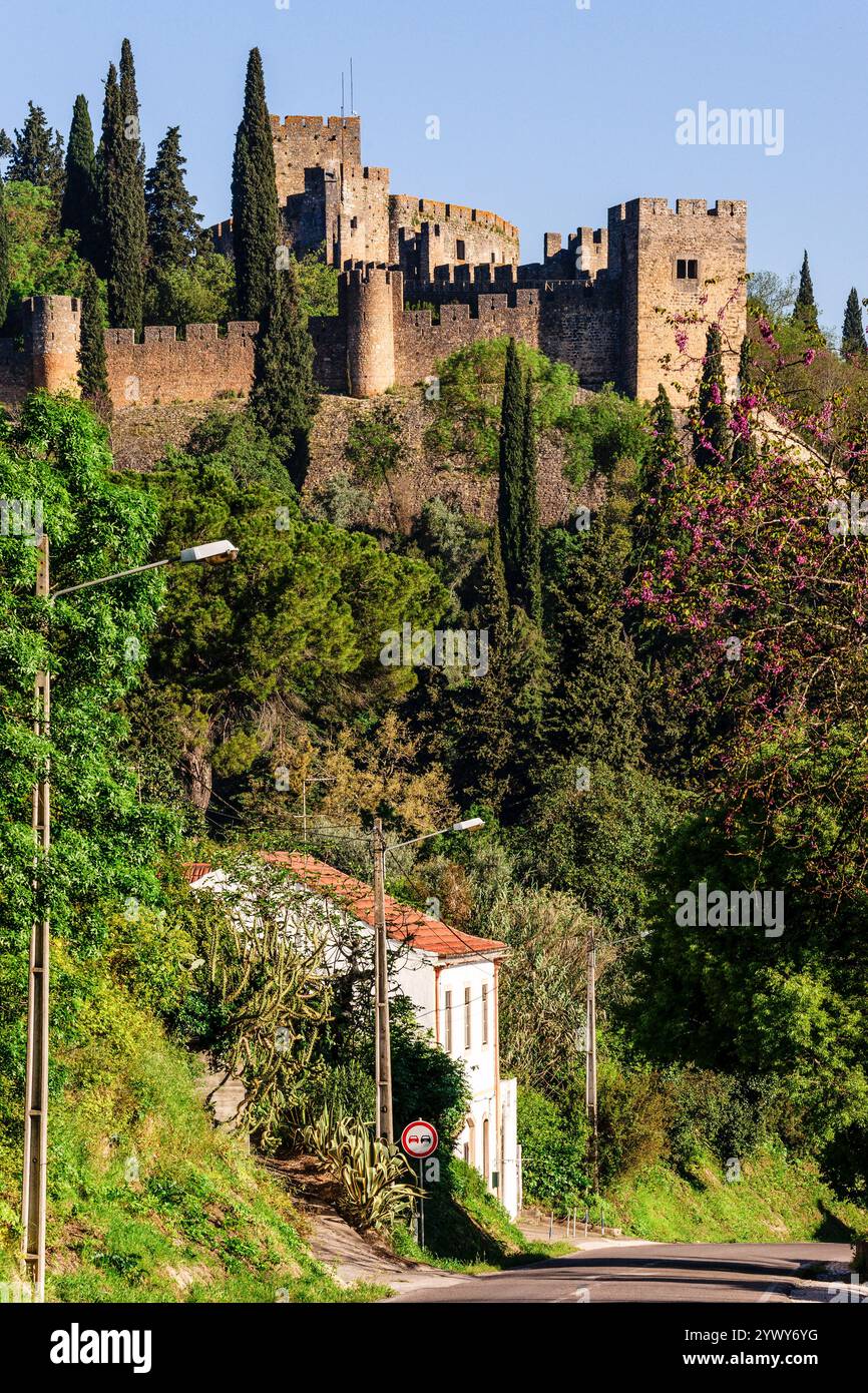 Templar Castle of Tomar, year 1162, national monument, Tomar, Santarem ...