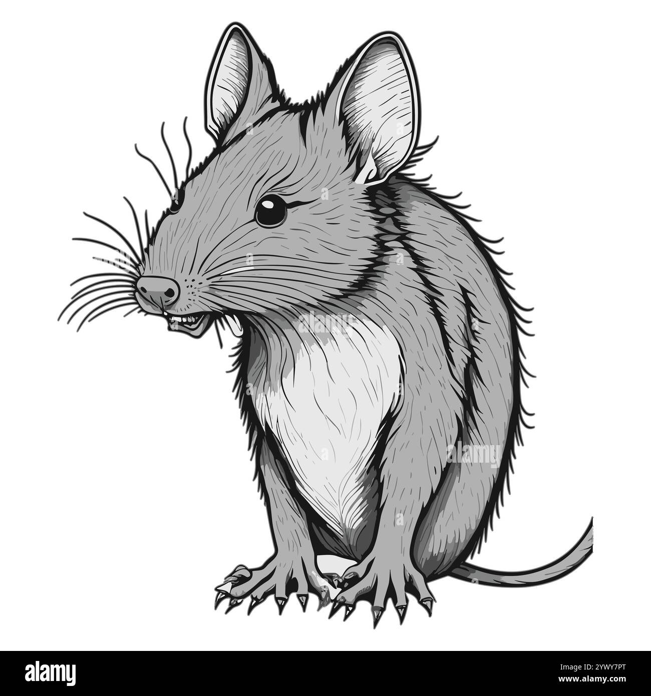 Mouse tail Black and White Stock Photos & Images - Alamy