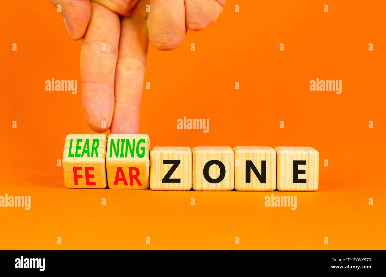 Learning or fear zone symbol. Concept words Learning zone Fear zone on ...