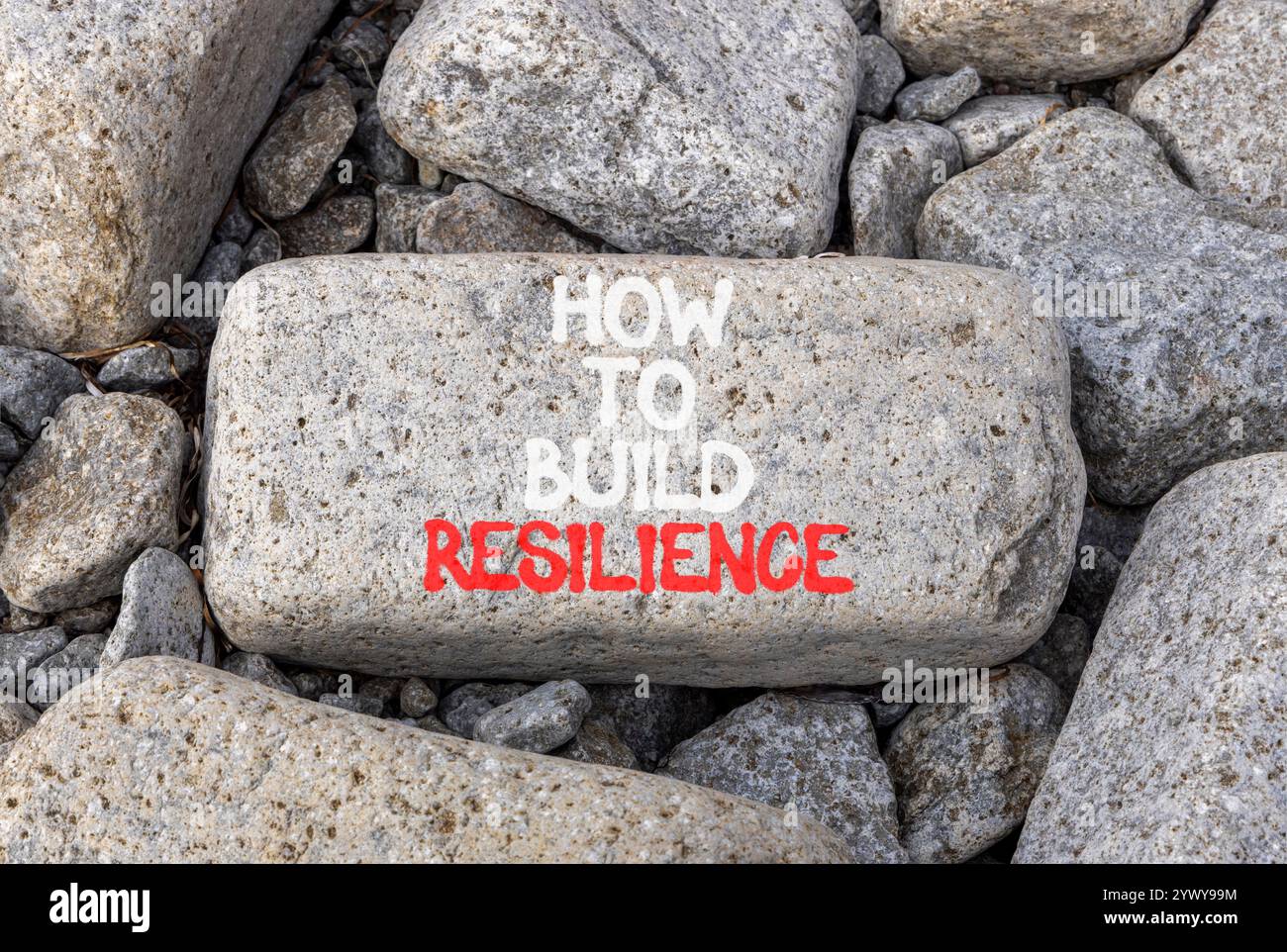 How to build resilience symbol. Concept words How to build resilience ...