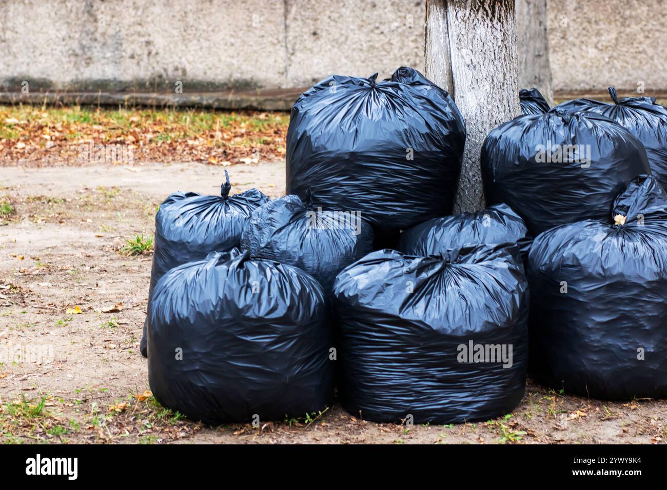 A large pile of black garbage bags is sitting right in front of a tall ...