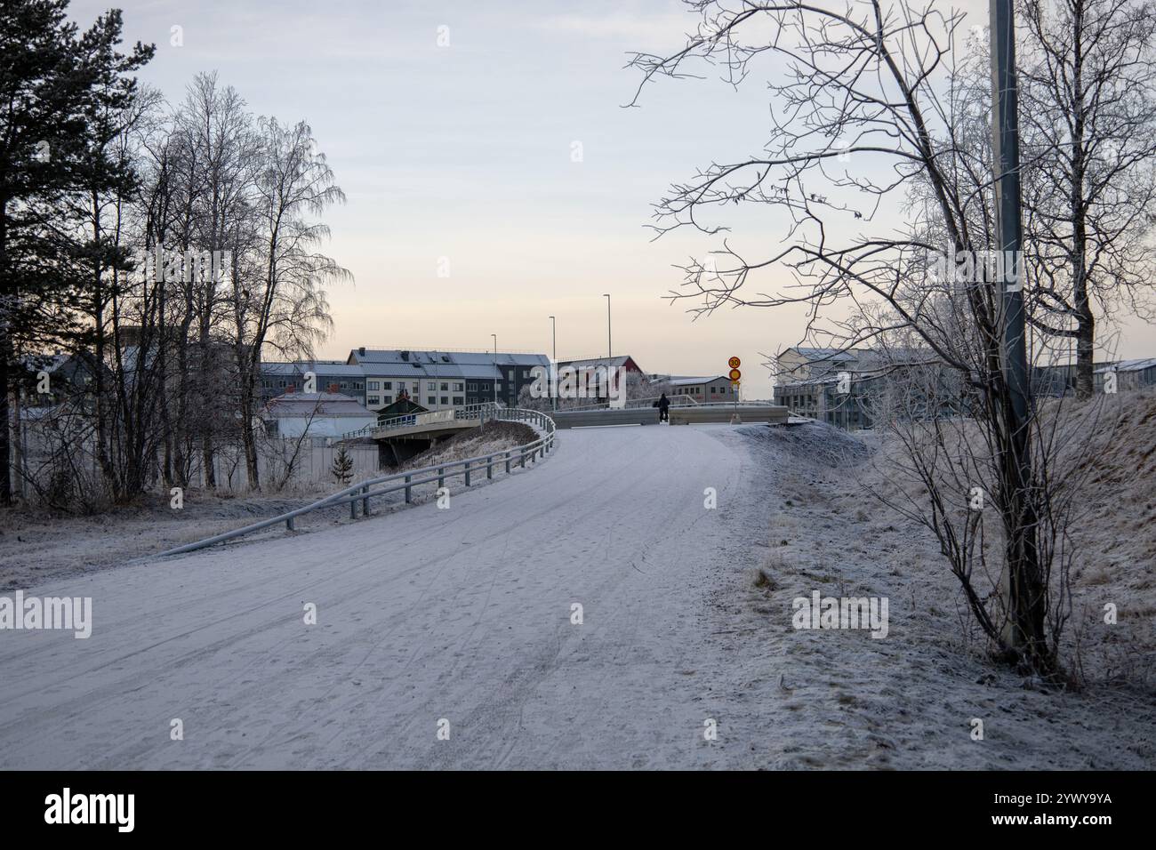 Arctic winter nature photography in Kiruna Swedish Lapland ...