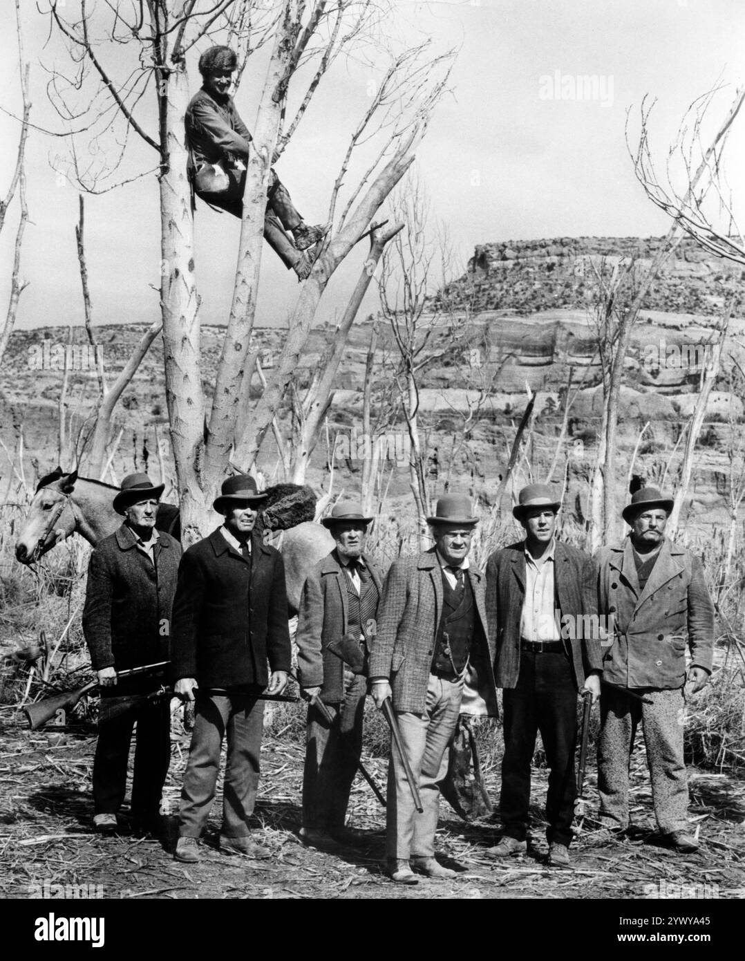 Donald pleasence hi-res stock photography and images - Alamy