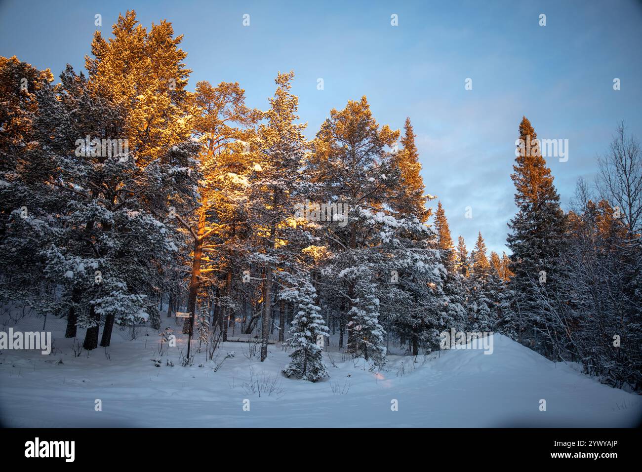 Arctic winter nature photography in Kiruna Swedish Lapland Stock Photo ...
