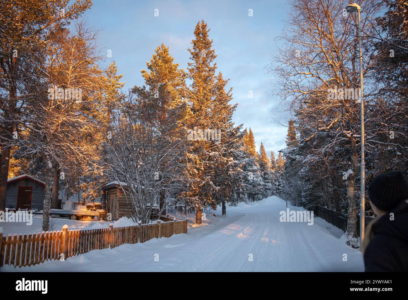 Arctic winter nature photography in Kiruna Swedish Lapland ...