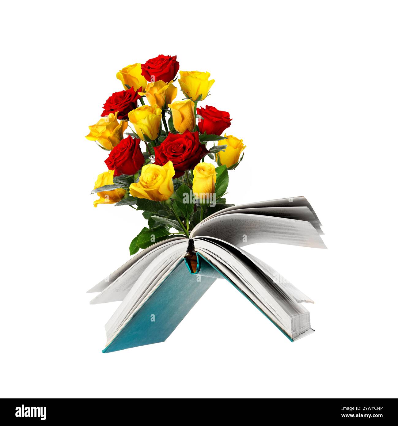 Open book with beautiful flowers between pages on white background ...