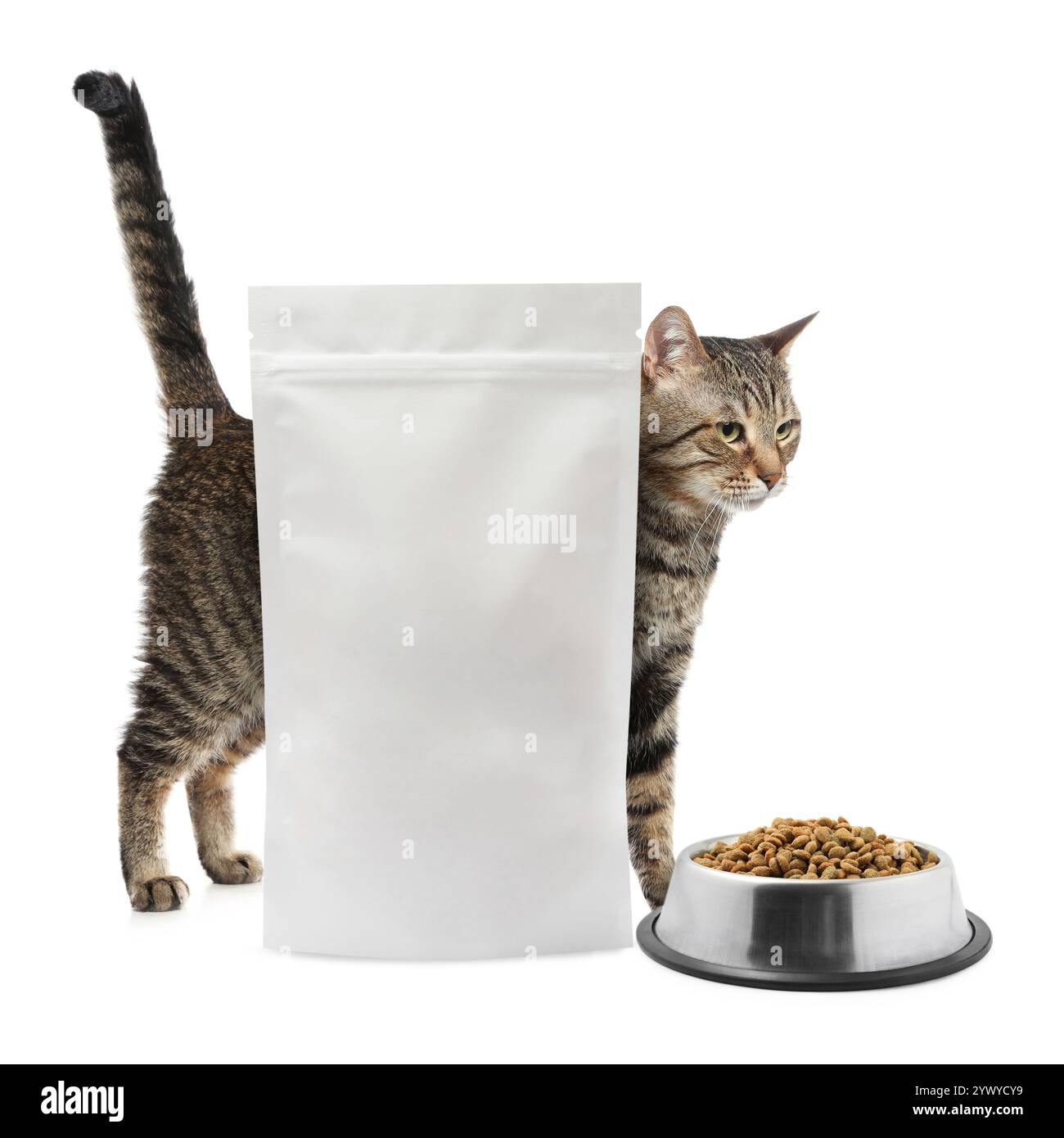 Cute cat, package and bowl of dry pet food on white background Stock ...