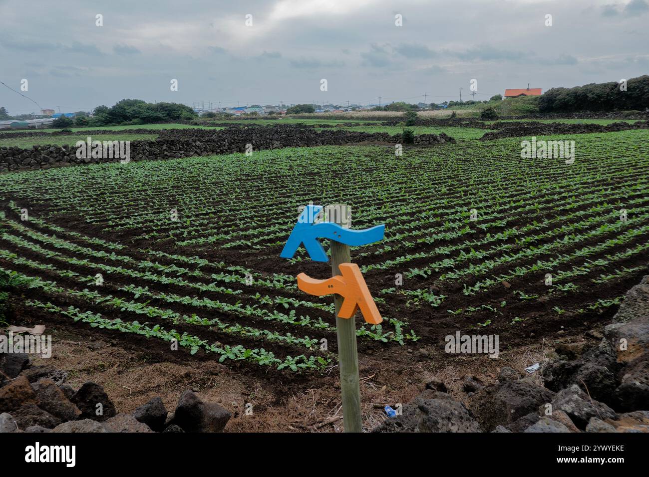 Directional signs along the Jeju Olle Trail, Jeju Island, South Korea ...